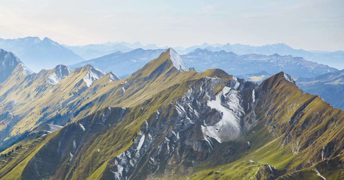 Qube Creatives | InterCheese AG